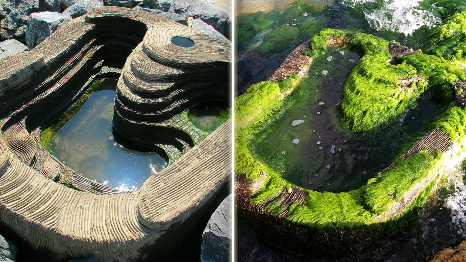 Biomimicry - NatuR&D What is Biomimicry – Nature’s Design Strategies